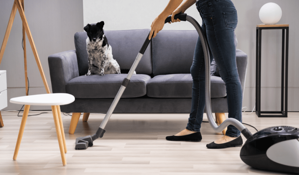 What Does a Housekeeper Do?