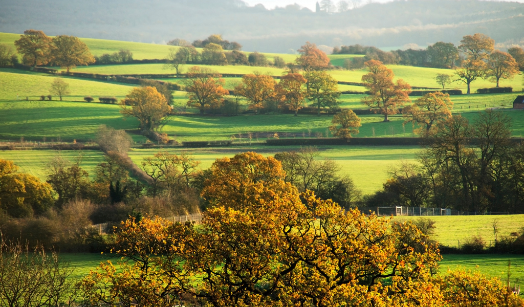Inside the Life of an Estate Manager: Overseeing a Country Estate ...
