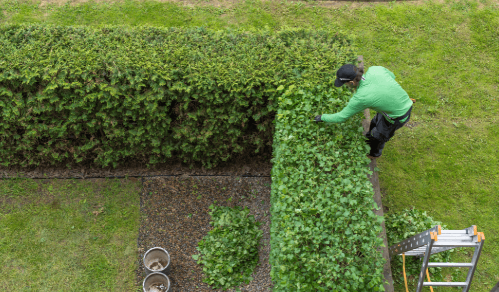 How Much Should I Pay My Gardener? | Abode Staff