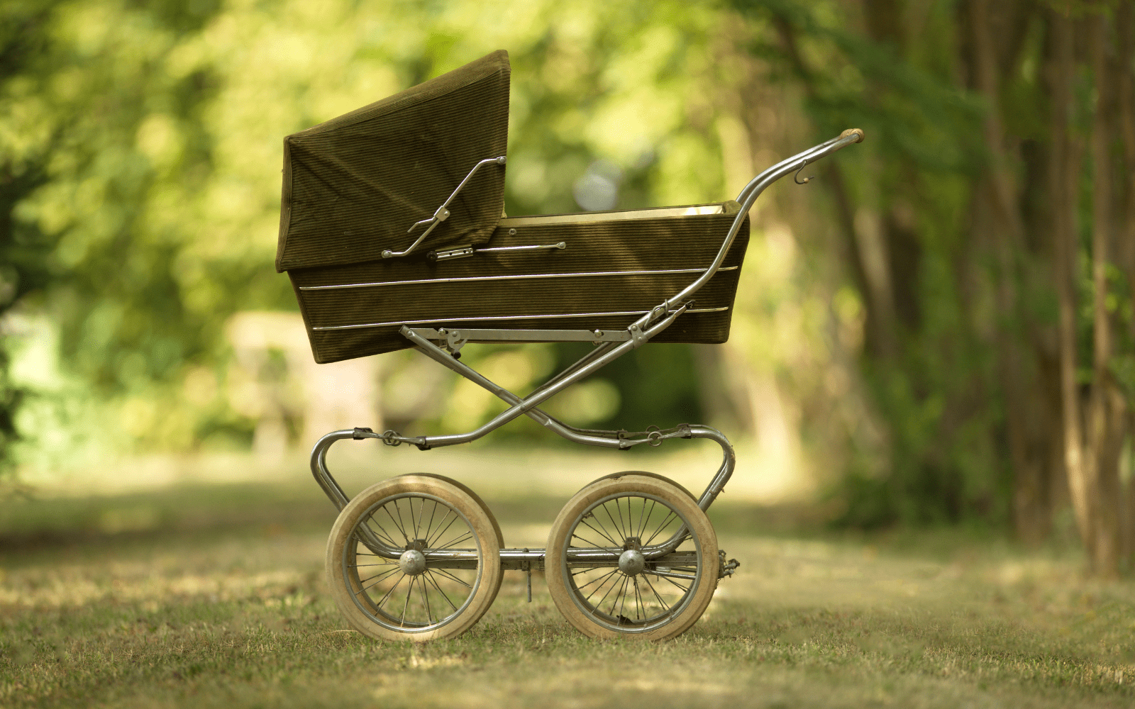 How Much Do Norland Nannies Get Paid? | Abode Staff